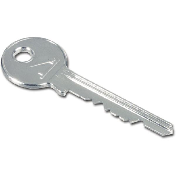 Bußgeldschlüssel (Hauptschlüssel) für Pfandschloss Safe-O-Mat