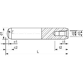 DIN7979D 6x 20 Toleranzfeld m6 blank Zylinderstift mit Innengewinde,geschliffen