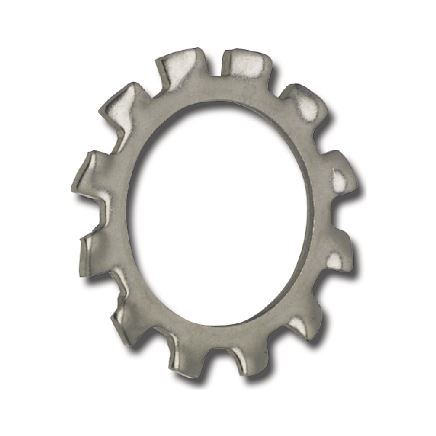 DIN6797A M 8 Edelstahl A2 Zahnscheibe aussengezahnt