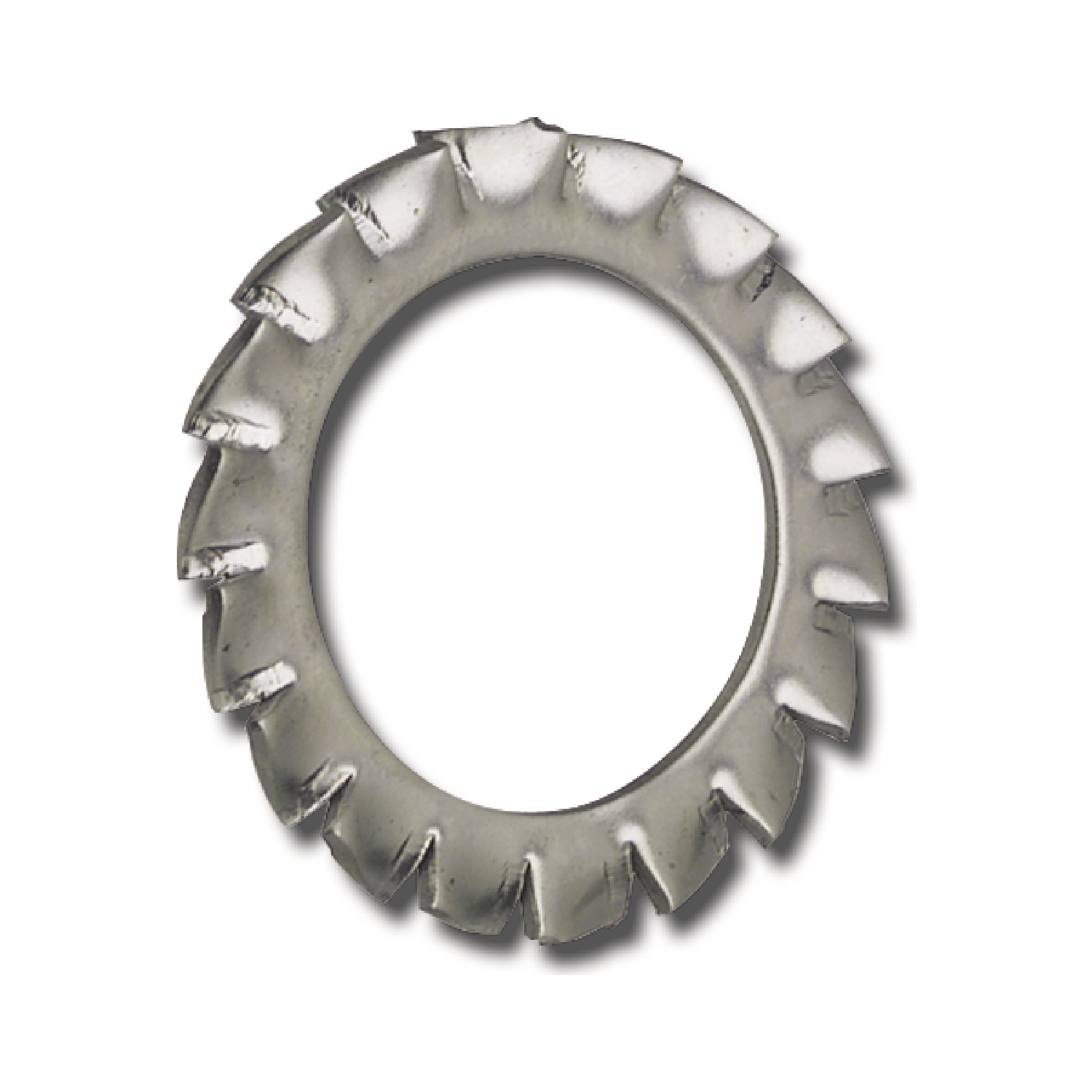 DIN 6798 M10 Edelstahl A4 Fächerscheibe aussengezahnt