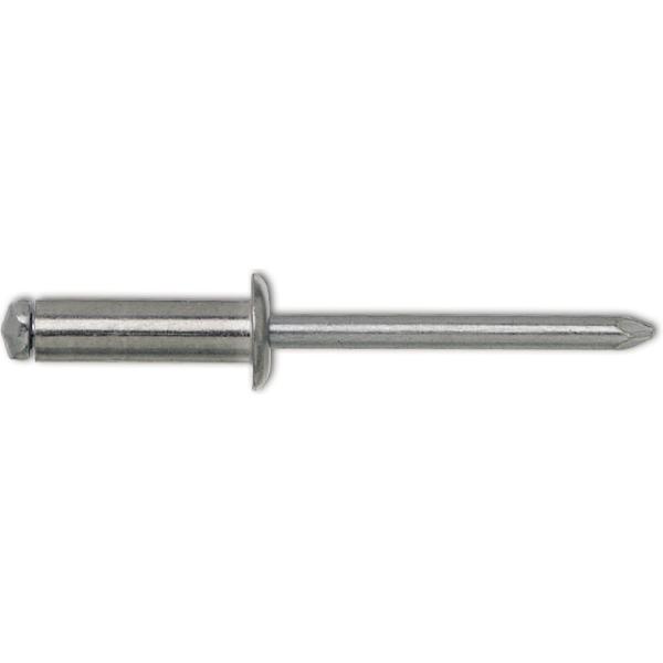 ISO 15977 Blindniete Flachrundkopf 4.0x12 Aluminium mit Stahldorn